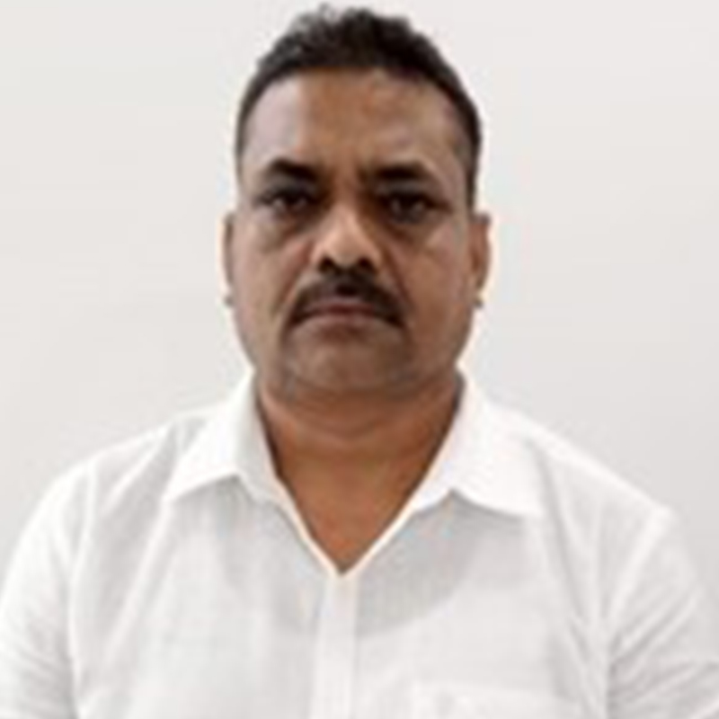 Resume | Engineering Projects (India) Ltd.